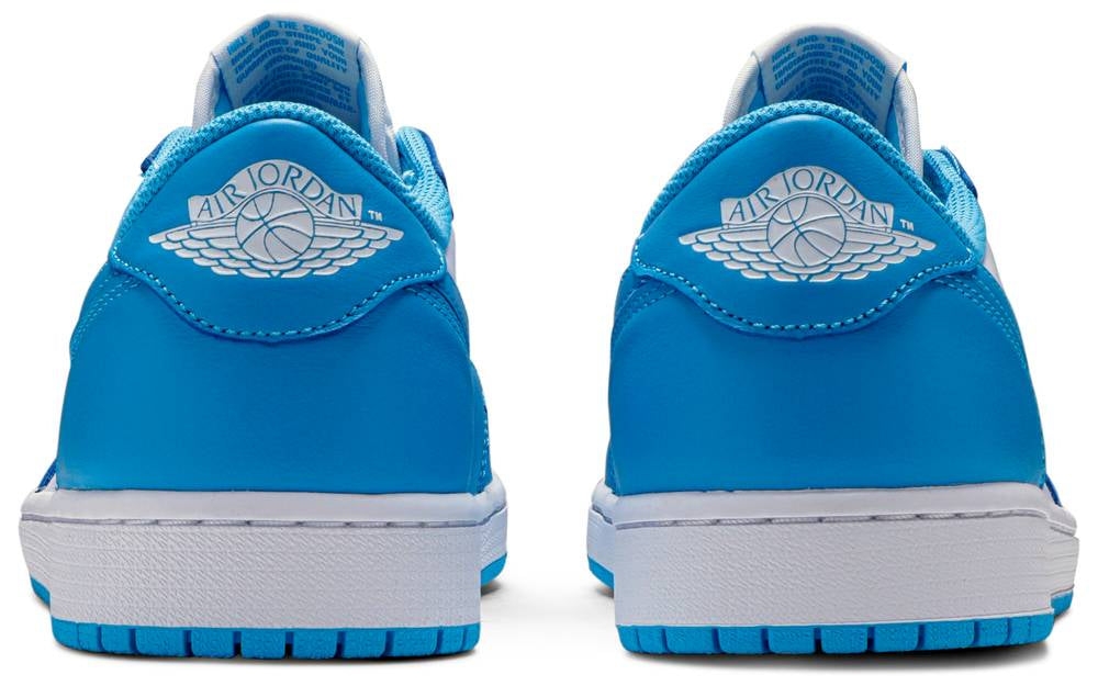 Eric Koston x Air Jordan 1 Low SB Powder Blue CJ7891-401 - Saliahome ...